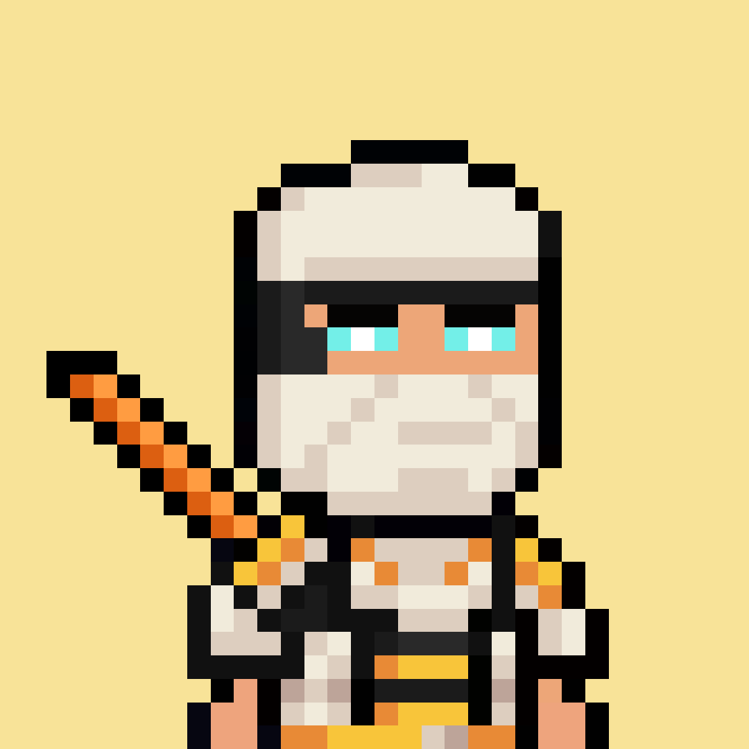 Welcome to Sei Ninja!