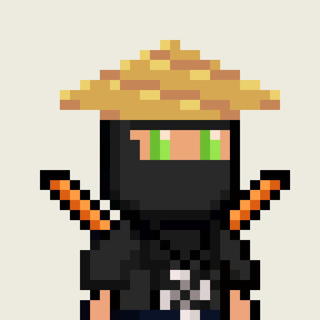 Welcome to Sei Ninja!