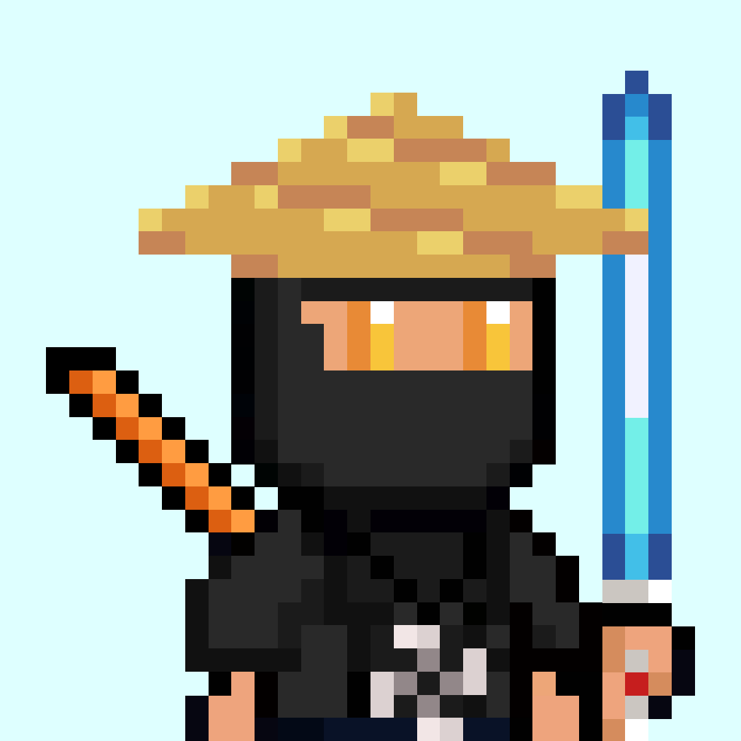 Welcome to Sei Ninja!