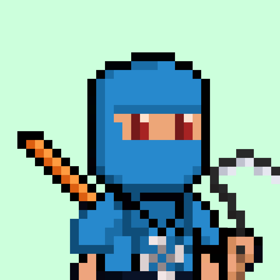 Welcome to Sei Ninja!