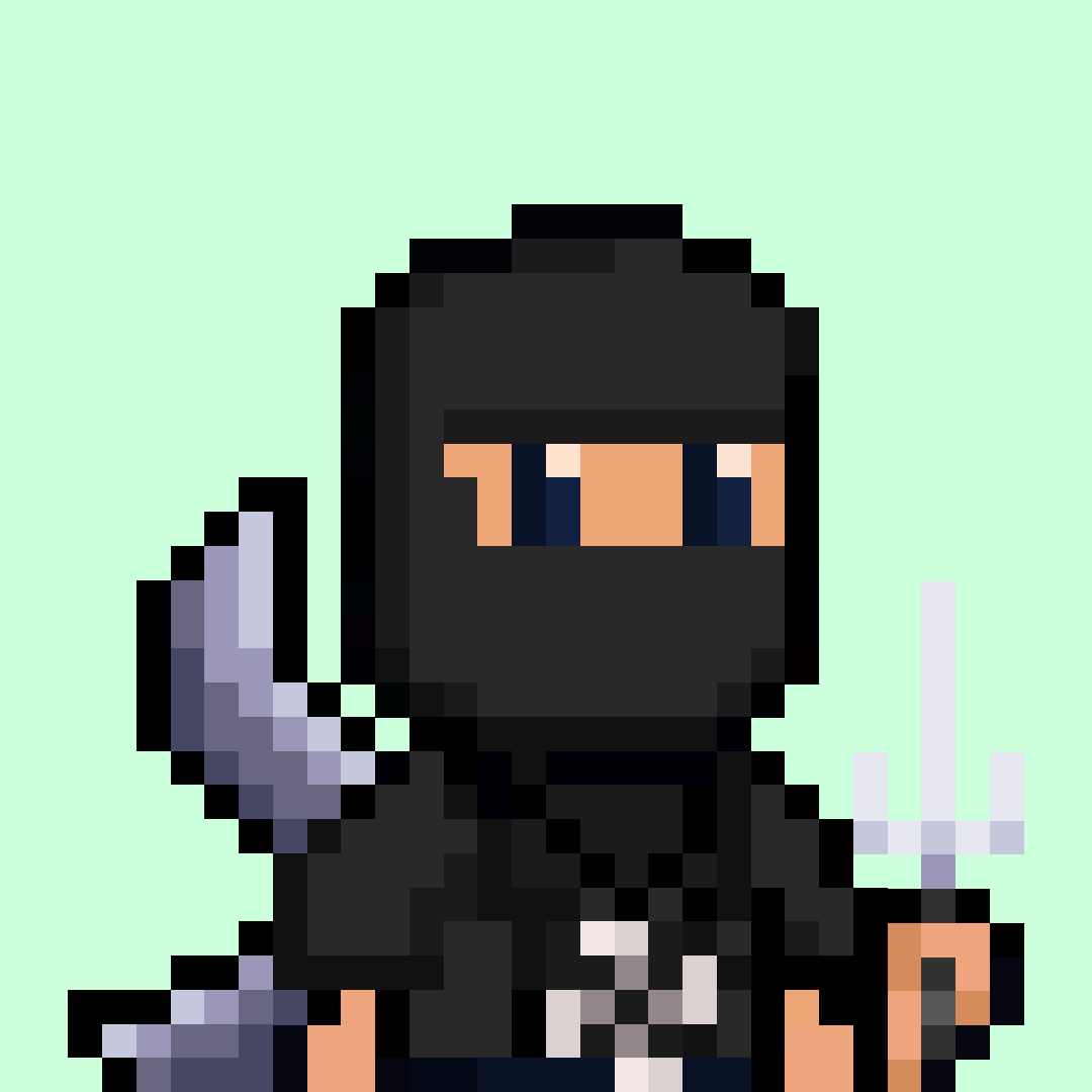 Welcome to Sei Ninja!